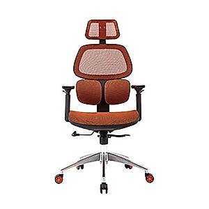 HALOU Executive Office Chair - High Back Office Chair with Footrest and Thick Padding - Reclining Computer Chair with Ergonomic Segmented Back, Black (Color : E)