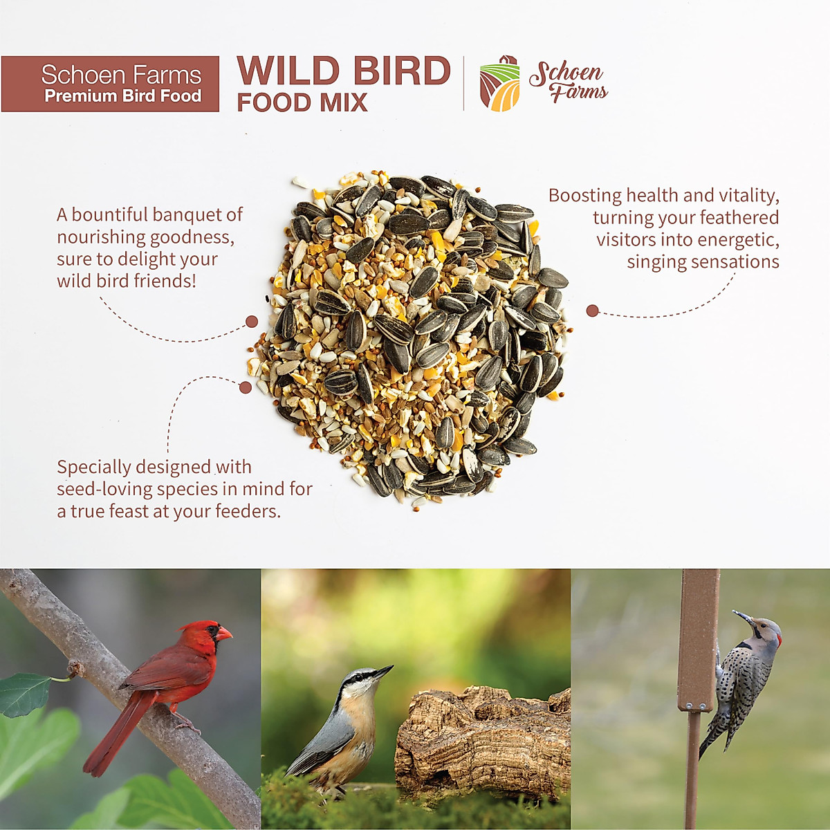 Gourmet Wild Bird Food Mix (6 LBS) Blend For Cardinals, Chickadees, Nuthatches, Woodpeckers and Songbirds