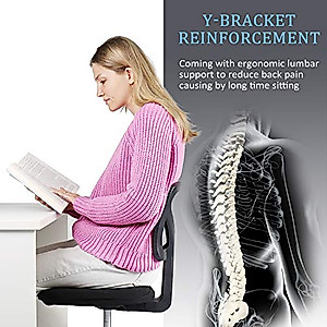 RIMIKING Mesh Low-Back Ergonomic Swivel Chair Computer Chair Task Chair Desk Chair Armless Home Office Chair, Adjustable Height, Black