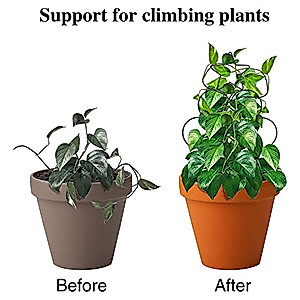 Metal Plants Climbing Trellis Wrought Iron Bonsai Plant Support Holder for Indoor Outdoor Garden Rose Flower Vine Stand Metal Trellis Indoor