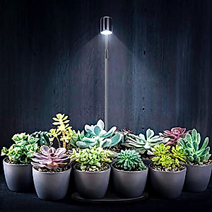 Oltraman LED Aquarium Light, 3W USB Powered Fish Tank Plant Lamp with Black Base Board for 360 Betta Fish Bowl, Potted Plants, Succulents, Miniature Landscape