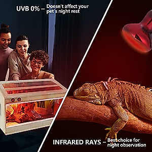LUCKY HERP 2 Pack 100W Reptile Heat Lamp Bulb, Amphibian Infrared Basking Spot Light Bulb for Turtle, Bearded Dragon, Lizard, etc