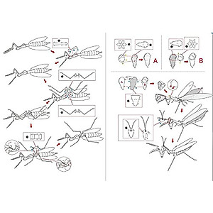 Metal Earth Fascinations Praying Mantis 3D Metal Model Kit