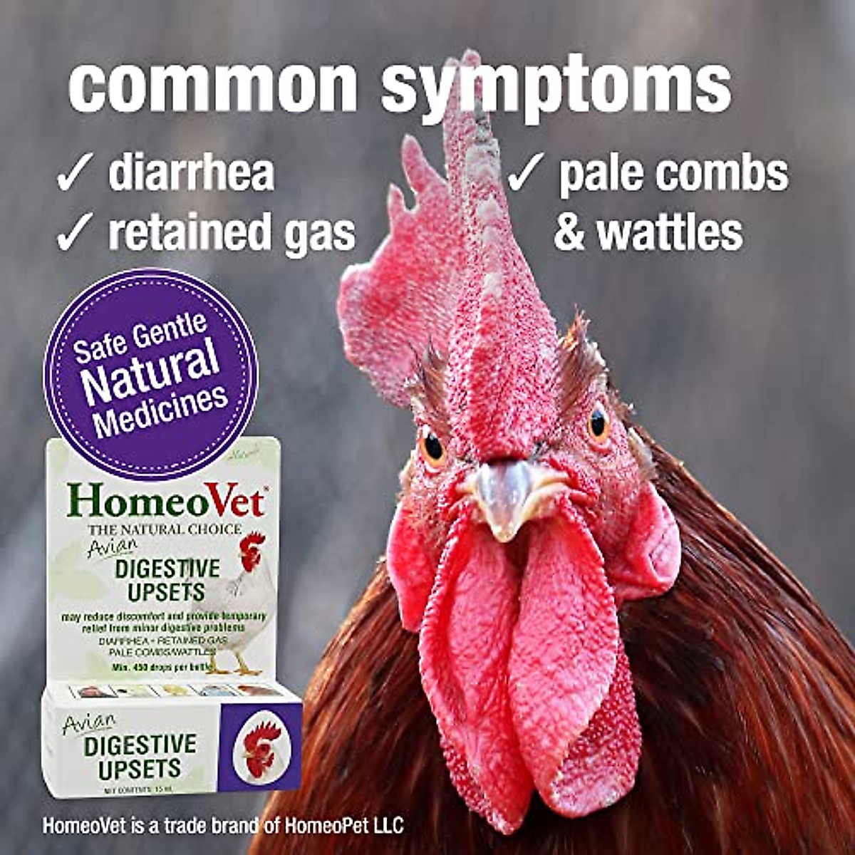 HomeoPet Avian Digestive Upsets, Healthy Digestive Support for Poultry and Pet Birds, 15 Milliliters