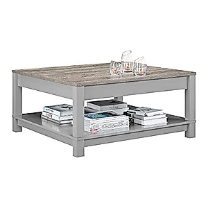 Ameriwood Home Carver Coffee Table, Gray