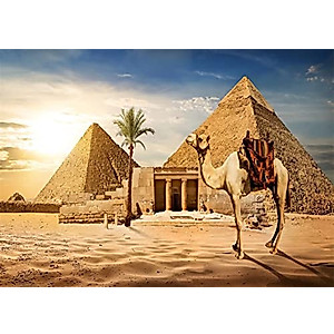 BELECO 9x6ft Fabric Egypt Pyramids Backdrop Photography Ancient Egyptian Pyramid Camel Backdrop Giza Desert Scene Coconut Tree Sunset Sky Scenery Room Decor Africa Desert Travel Portrait Photo Props