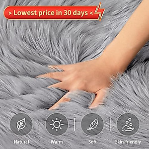 Ciicool Grey Fur Rug Fluffy Rug, 2x4 ft Small Faux Fur Rug for Bedroom, Washable Faux Sheepskin Rug for Sofa Couch Seat Cushion, Thick Shaggy Furry Rugs Floor Carpets for Bedside Living Room