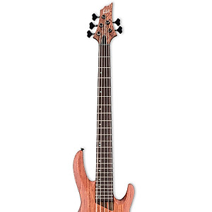 ESP LB1005SEBNS-KIT-1 B Series B-1005SE 5-String Electric Bass Guitar, Natural Satin