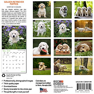 RED EMBER Golden Retriever Puppies 2024 Hangable Monthly Wall Calendar | 12" x 24" Open | Thick & Sturdy Paper | Giftable | Cute Dog | Every Day is Golden