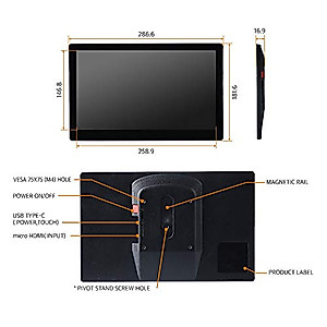 DoubleSight Displays DS-12H 12" LCD HDMI Monitor - TAA Compliant - 1366 x 768 - WXGA - 250 Nit - Micro HDMI - Black - Portable No Video Card Required PC/MAC - 3 Year Warranty