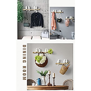 Birds Decorative Wall Hanger Clothes Hooks for Home Decor Hanging Keys Bag Hats (White,Two Birds)