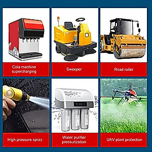 High Pressure Diaphragm Water Pump, Self Priming Pump Overheat Protection Copper Motor DC12V 9.8ft Head 5.8LPM for Misting