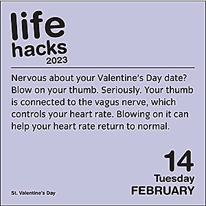 Life Hacks 2023 Day-to-Day Calendar: Tips, Tricks, and Daily DIYs to Make Your Life a Little More Awesome