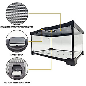 PINVNBY Reptile Glass Terrarium Ball Python Tank 12"x8"x6" Micro Habitat Terrarium Enclosure Amphibians Tank Cage Full View Visually Appealing for Small Reptiles,Spiders,Leopard Gecko