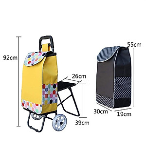 Shopping Trolley on Wheels Multi Function Shopping Cart Trip Elderly Climbing Stairs Cart Supermarket to Buy Food with Seat Bearing Crystal Single Wheel Lever Car Trolley Storage Hand Trucks,#1 ,S
