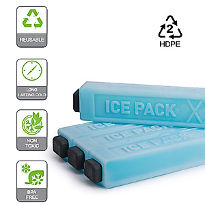 TOURIT Backpack Cooler and 4 Ice Packs Bargain Perfect Combination