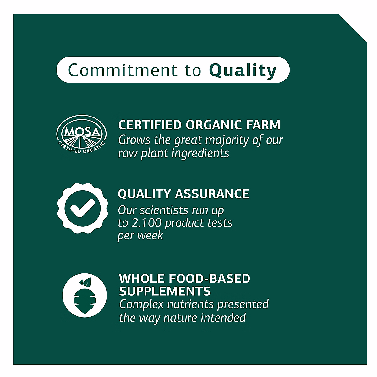 Standard Process - Canine Hepatic Support - Liver Metabolism Support for Dogs - 30 Grams