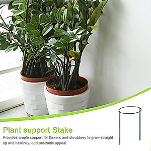 IPSXP Plant Support Stake, 8-Pack Half Round Metal Garden Plant Supports, Green Garden Plant Support Ring, Garden Border Supports, Plant Support Ring Cage for Tomato, Roses, Hydrangea, Flowers Vine