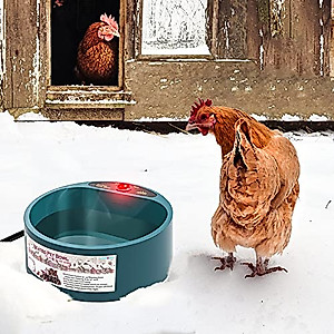 NAMSAN Heated Pet Bowl Outdoor Heated Dog Water Bowl Thermal-Bowl Livestock Heating Dish Provide Drinkable Water in Sub-Freezing Temperature for Cats, Chickens, Squirrels