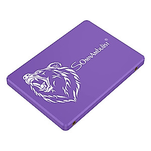 Somnambulist SSD SATAIII Hard Drive 2.5 SSD 120GB 480GB 512GB Hard Drive Internal Solid State Drive (Purple Bear Head 60GB)