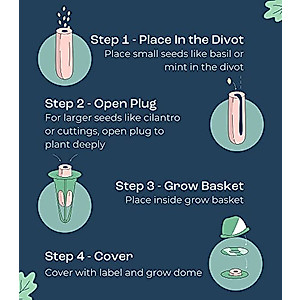 Hydroponics Sponge Grow Sponges [Pack of 50] – Organic, Sustainable, USA-Made AeroGarden Compatible Refill Sponges – 100% Coco Coir Seed Sponges – Garden Sponges with Seed Divots by Urban Leaf