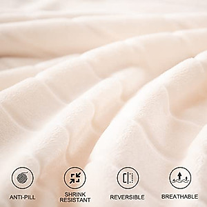 Bertte Plush Throw Blanket Super Soft Fuzzy Warm Blanket | 330 GSM Lightweight Fluffy Cozy Luxury Decorative Stripe Blanket for Bed Couch - 50"x 60", Ivory White