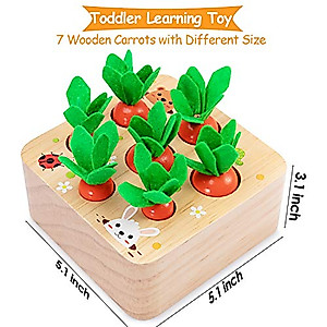 AOJOYS Montessori Toys Carrot Harvest Game Toys for Baby Toddlers 1-3 Years Old, Educational Wooden Carrot Toys Shape Size Sorting Matching Puzzle, Great Baby Easter Toys Birthday Gift Toys