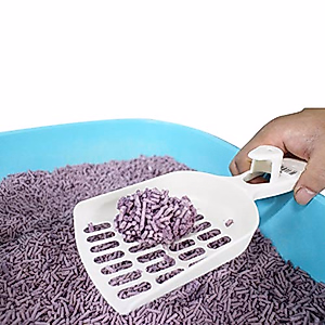 ZenKitty Clumping Tofu Cat Litter Lavender Fragrance, Purple (20030)