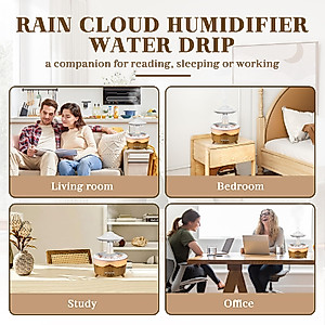 Rain Cloud Humidifier Water Drip, 7 Colors Night Rain Diffuser with Remote Control Timing, Mushroom Diffuser Lamp, Rain Sounds for Sleeping, Desk Fountain (Wood Grain)