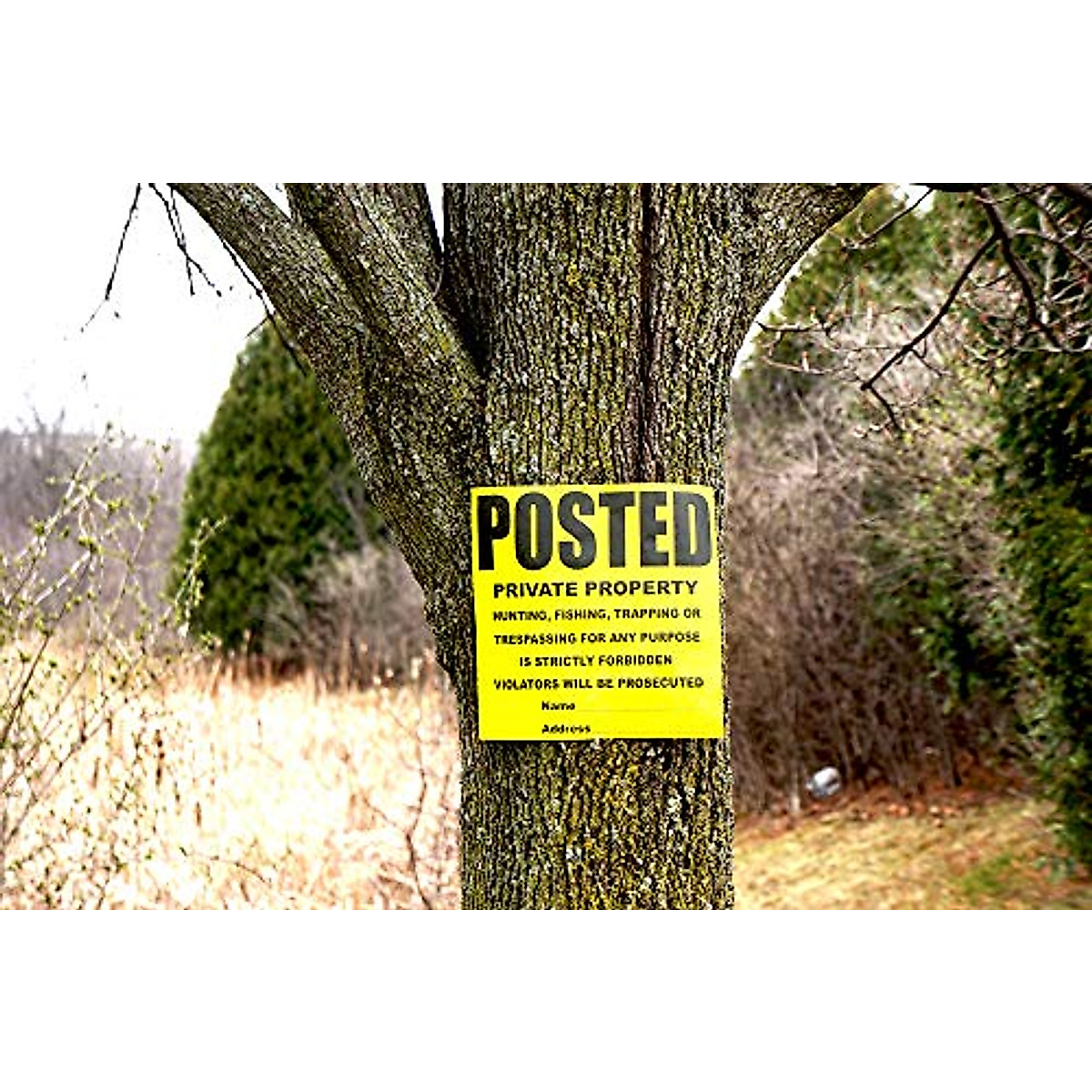 WristCo Posted Sign Yellow Private Property for outdoors - 11" x 11" 100 per Pack weatherproof tear-resistant Tyvek high visibility for warning no trespassing hunting fishing trapping