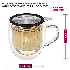 Teabloom Double-Wall Borosilicate Glass Mug with Stainless Steel Infuser and Lid – 15 OZ / 430 ML – 2 Gourmet Tea Flowers Included
