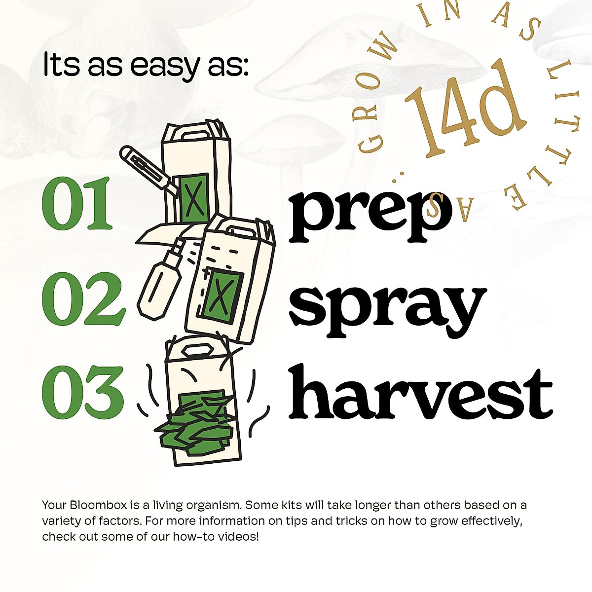 NuBlume Organic Lion's Mane Mushroom Grow Kit | Grow Your Own Fresh Gourmet Mushrooms at Home | Edible Indoor Mushroom Growing Kits Great Gift