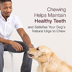 SmartBones SmartSticks, Treat Your Dog to a Rawhide-Free Chew Made with Real Chicken and Vegetables,10 Sticks (Pack of 2)
