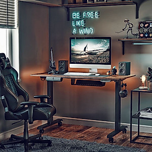 FEZIBO Height Adjustable Electric Standing Desk 48 x 24 inches | Standing Desk Mat with Anti Fatigue Bar, Wooden Wobble Balance Board (Medium, Obsidian Black)