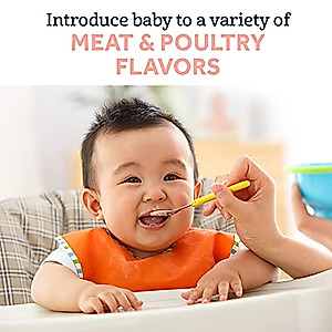 Gerber Baby Foods 2nd Foods Meat, Chicken & Gravy, Mealtime for Baby, 2.5 Ounce Jar (Pack of 10)