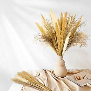 EVOLUX Pampas Grass Decor,60 Pcs Natural Dried Pampas Grass|15 Pcs White & 15 Pcs Beige & 30 Pcs Reed Grass,17" Pompas Grass for Flowers Arrangement Home Garden Wedding Decor