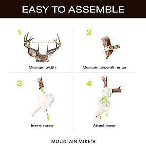 Mountain Mike’s Skull Master - European-Style Mount Kit for Antlers - for Antlers Larger Than 4 ⅞” Diameter - Compatible with Harvested and Shed Antlers - White (Large)…