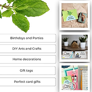 Habitage Seed Paper Birthday Greeting Cards - Set of 12 Eco-friendly Plantable Cards with Envelopes and Gift box | Variety Pack | Recycled Paper Embedded with Holy Basil seeds