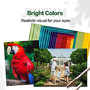 JINTUM 273XL Remanufactured Ink Cartridges Replacement for Epson 273XL 273 Ink Cartridges for use with Expression XP-620 XP-610 XP-600 XP-820 XP-810 XP-800 XP-520 Printer (5-Pack)