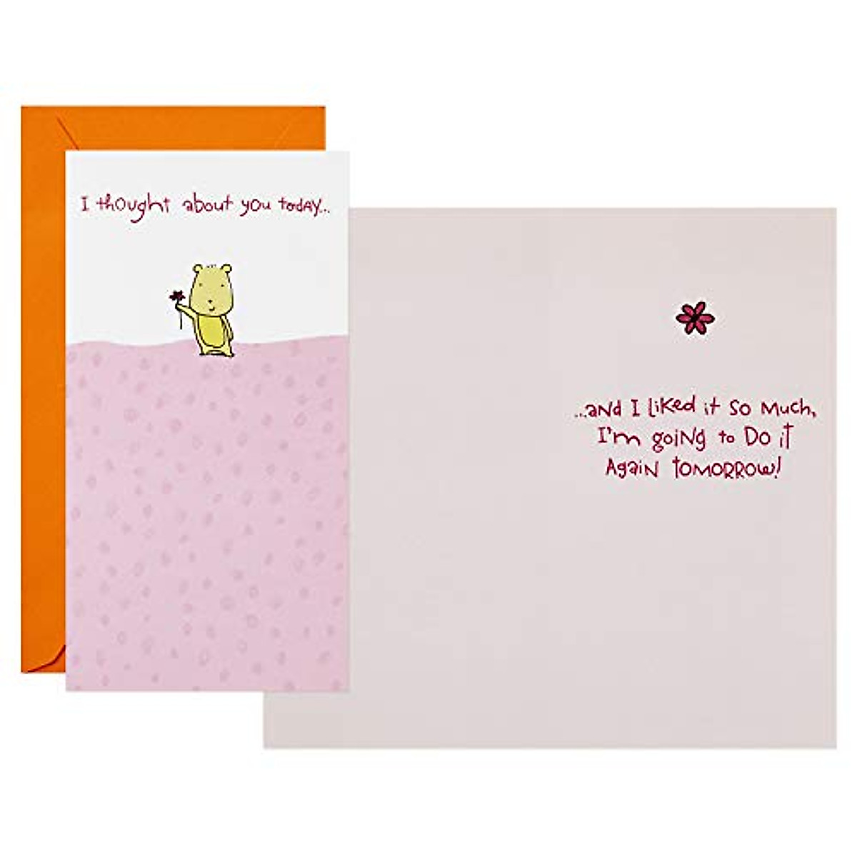 Hallmark Special Connections Thinking of You Card Assortment (6 cards and 6 envelopes) (1399RZC1013)
