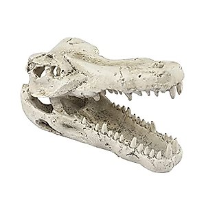 Alligator Reptile Amphibian Skull Habitat Hide – Premium Non-Toxic Resin for Aquariums & Terrariums – Large Size