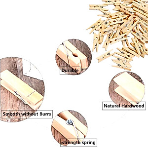 50 Pcs 1In Mini Wooden Craft Clothes Pins, Clothes Pins for Photo,Small Clothespins,Small Clothes Pin,Mini Photo Clips Small Clothes Pins for Photos, Crafts, Arts, Cocktails,Artwork Display