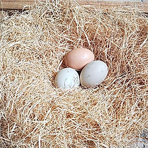 BWOGUE 100g/3.5oz Natural Grass Nesting Pads for Chicken Hens Birds Nest Bedding