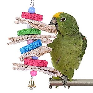 Pet Bird Parrot Swing Chewing Toy Natural Sepa Takraw with Happy Twist Colorful Bead Swing Bell