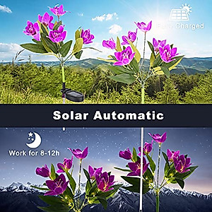 ALANAS Outdoor Solar Decorate Light, 2 Pack Dendrobium Orchid Garden Stake Lights with 7 Flowers, Waterproof LED Solar Powered Lights for Patio, Pathway, Courtyard, Garden Law.