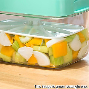 Instant Pickle Maker Vegetable Press Tsukemono Container Rectangle Made in Japan BPA Free (Blue 2.2L)
