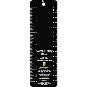 Carpe F*cking Diem Beaded Bookmark