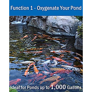 Pond Aeration Kit – AquaMiracle Pond Air Pump Kit Koi Pond Aerator for Pond up to 1000 Gallons Pond Deicer All-in-One Pond Aeration System with Double Outlet Airline Tubing Air Stones Check Valves