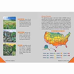 Outdoor School: Tree, Wildflower, and Mushroom Spotting: The Definitive Interactive Nature Guide