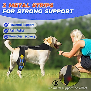 Dog Knee Brace for Torn ACL Hind Legs, Anti-slip Dog Leg Braces for Back Legs with Comfort Vest, Strong Support Dog ACL Hip Brace with 2 Metal Strips and Adjustable Belt for Cruciate Ligament Injury